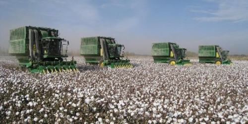 Cyren 살충제 Fipronil 97 % Tc, Bossgoo.com의 고품질 Cyren 살충제 Fipronil 97 % Tc