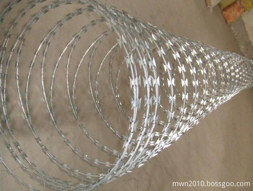 Pvc Coated Protected Security Razor Barbed Wire, High Quality Pvc ...