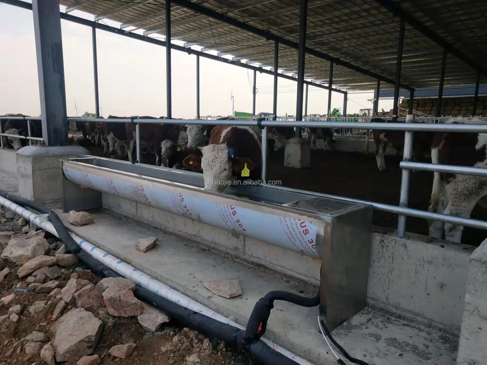 10 Gallon Livestock Water Trough For Cows And Cattle Drinking, High ...