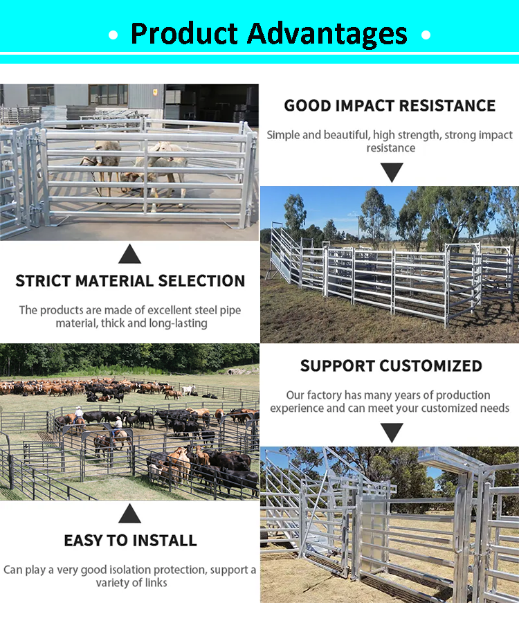 Factory Direct 6 Bar 20ft Continuous Livestock Fence Panels - Cattle ...
