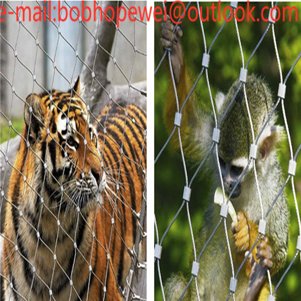 Zoo Wire Rope Mesh 316 316l Stainless Steel Flexible Wire Mesh Netting ...