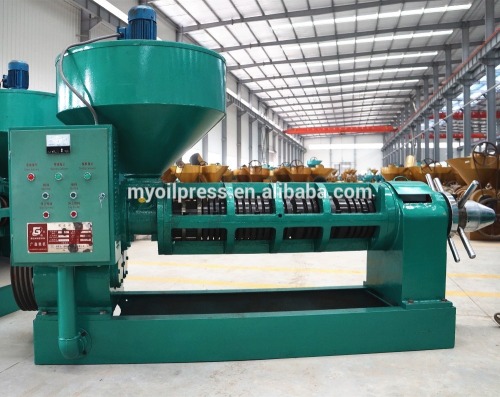 Seed Oil Palm Kernel Castor Oil Extraction Machine Factory Price, High ...