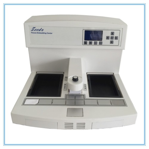 Histology Human Paraffin Embedding, High Quality Histology Human ...