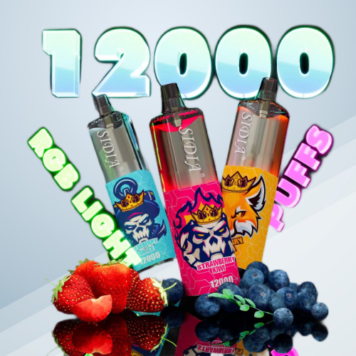 도매 일회용 Vape Sidia 12000 퍼프, Bossgoo.com의 고품질 도매 일회용 Vape Sidia 12000 퍼프