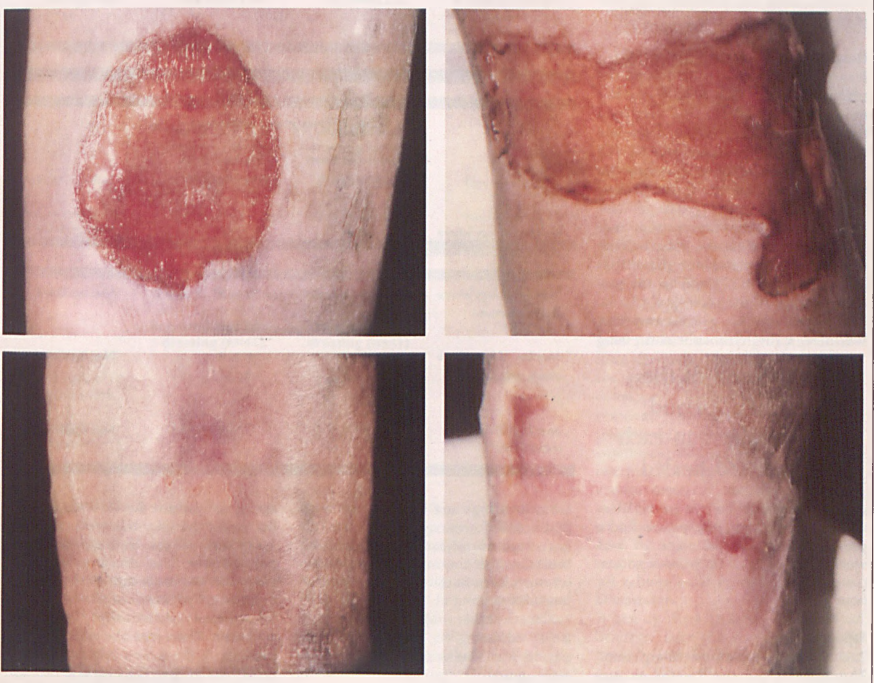 Roosin Medical Co.,Ltd