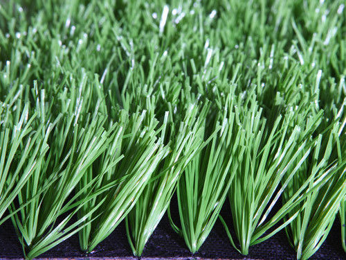 Indoor / Outdoor Football Artificial Grass 10000dtex Yarn Spine Shape ...