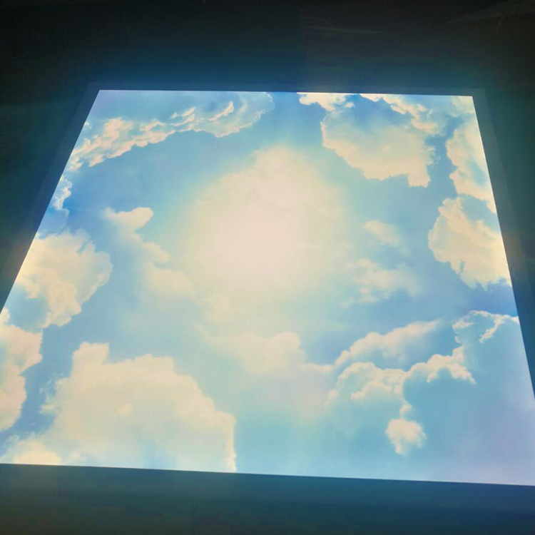 Skylight Blue Led Panel Light - 600x600mm Recessed Decorative Led ...