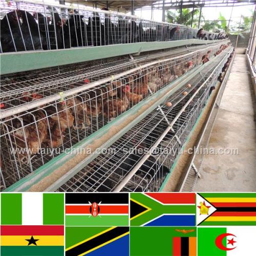 Nairobi Warehouse And Office Poultry Farm Design Layout Farm, High ...