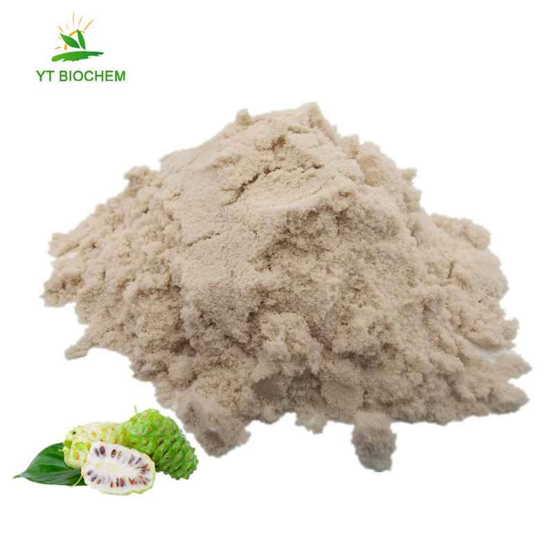 Natural Health Product Noni Fruit Extract Juice Powder, High Quality ...