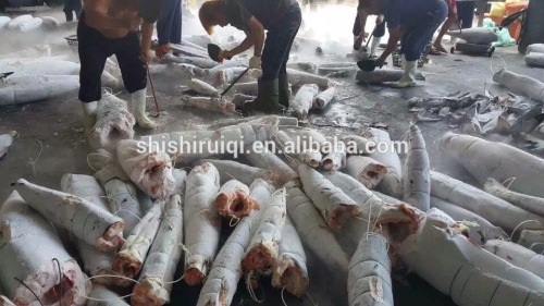 Frozen Fresh Marlin Fish/swordfish Hgt To Sri Lanka, High Quality ...