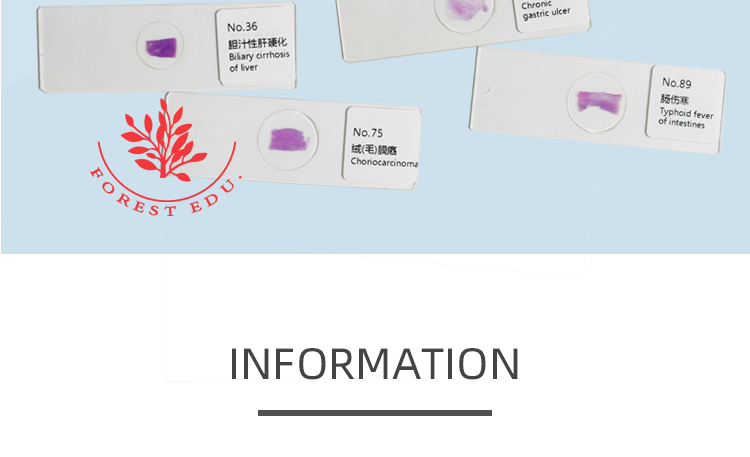 Human Pathology Microscope Slides For Medical Education, High Quality ...