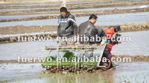 6 Rows Ride Rice Transplanter, High Quality 6 Rows Ride Rice ...