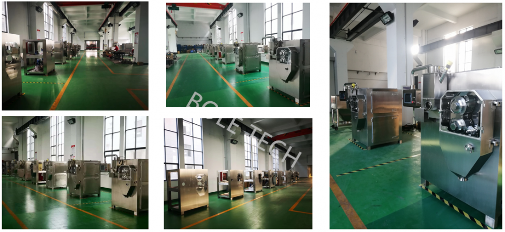 Pharmaceutical roller compactor granulator for vitamin exporters
