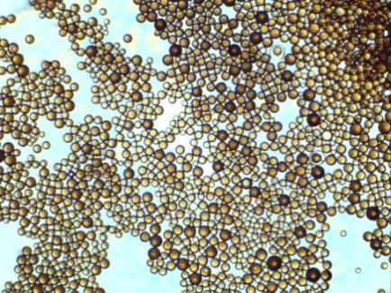 Macroporous Adsorbent Resin Super 100, High Quality Macroporous ...