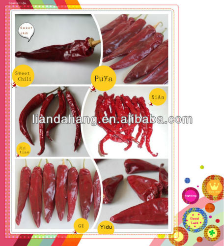 Haccp/ Halal/ Kosher Certified Stemless Cut Chili, High Quality Haccp ...