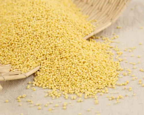 Proso Millet Bulk, High Quality Proso Millet Bulk on Bossgoo.com