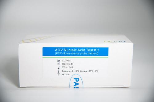 Adv Nucleic Acid Test Kit (pcr- Fluorescence Probe Method), High ...