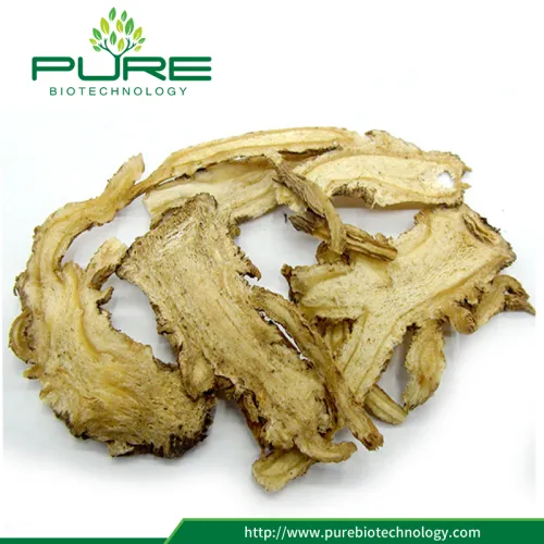 Wholesale Nature Herbs Angelica Sinensis Root, High Quality Wholesale ...