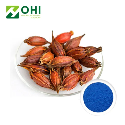 Gardenia Blue Natural Pigment Powder, High Quality Gardenia Blue ...