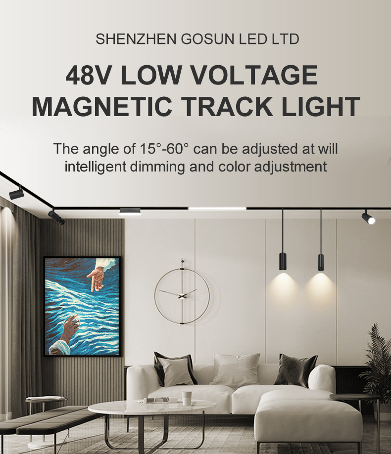 Adjustable 48v Magnetic Led Track Light For Shops, High Quality ...