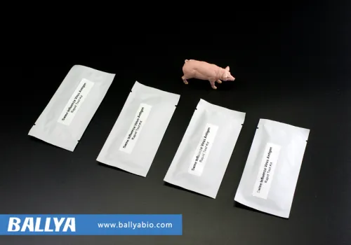 Swine Influenza Virus Antigen Rapid Test Kit/swine Influenza Disease ...