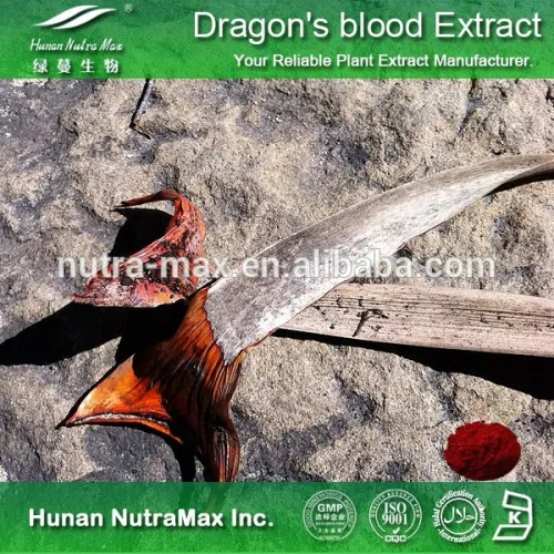 Dragons Blood Extract,dragons Blood Extract Powder,dragons Blood Powder ...