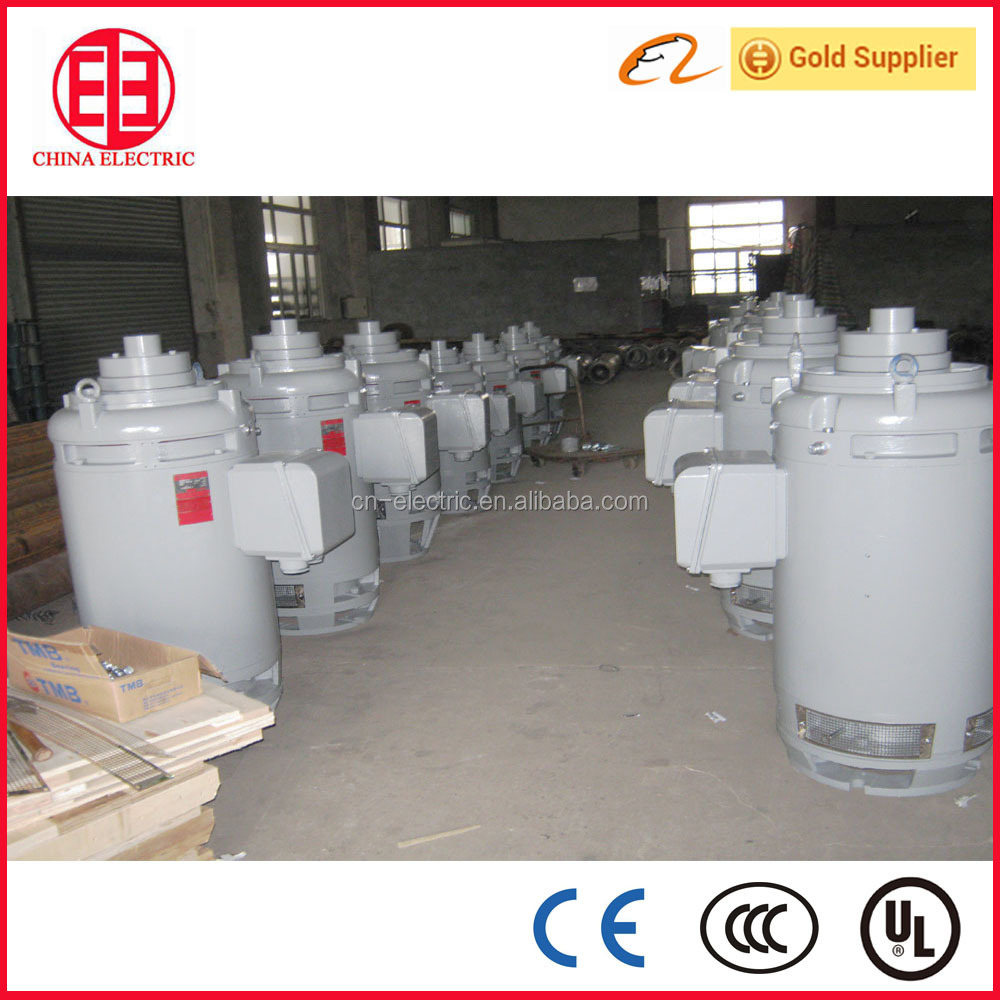 Vertical Hollow Shaft Induction Motor: Features, Applications, And ...