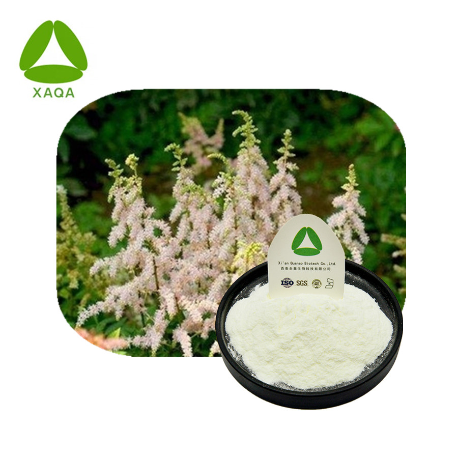 Astilbe Chinensis Extract Astilbin Powder Cas 29838-67-3, High Quality ...