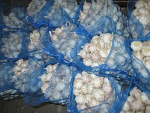 2020 Cold Storage Normal White Garlic, High Quality 2020 Cold Storage ...