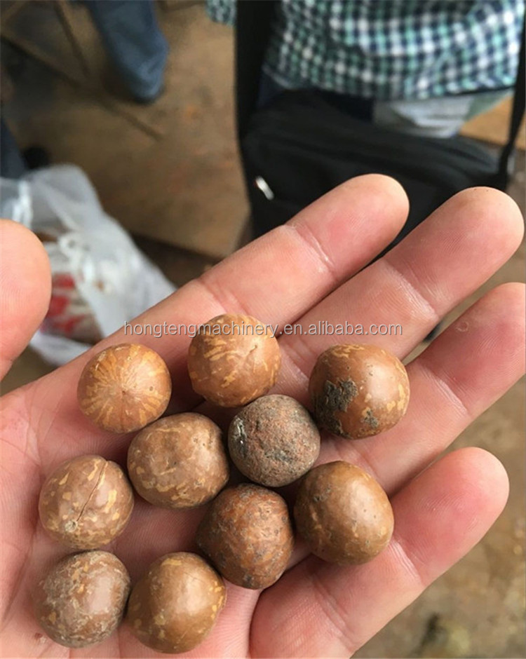 Macadamia Nut Shelling Machine: Efficiently Crack And Shell Macadamia ...