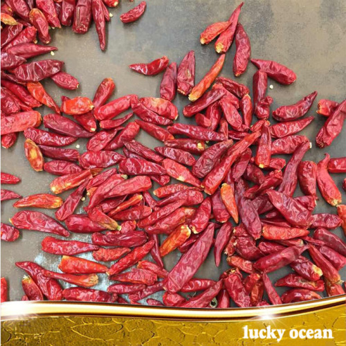 Red Chilli Dry Stemless, High Quality Red Chilli Dry Stemless on ...