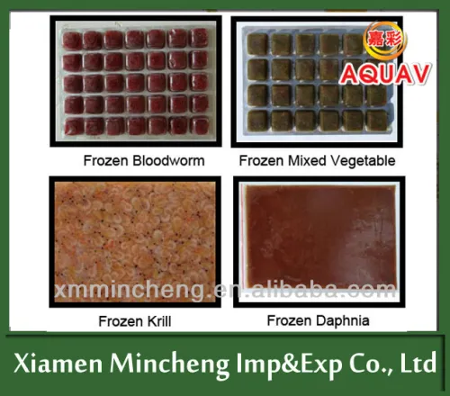 Frozen Fish Feed For Cichlid, Marine Fish Eating, High Quality Frozen ...