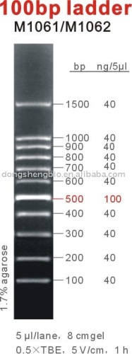 100bp Dna Ladder, High Quality 100bp Dna Ladder on Bossgoo.com