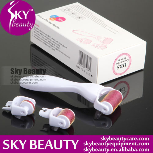 3in1 Derma Roller 600 With 3 Separate Roller Heads 180/600/1200 Derma ...