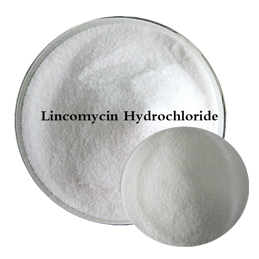 Lincomycin Hydrochloride Antibiotic Capsules Cas 859-18-7, High Quality ...