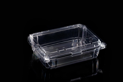300g Clear Plastic Clamshell Container, High Quality 300g Clear Plastic ...