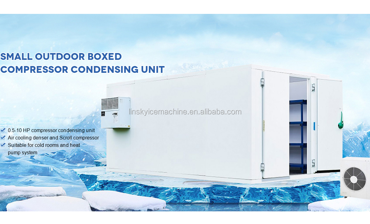 Fish Cold Storage: Cold Room Freezer & Walk-in Cooler Solutions, High ...