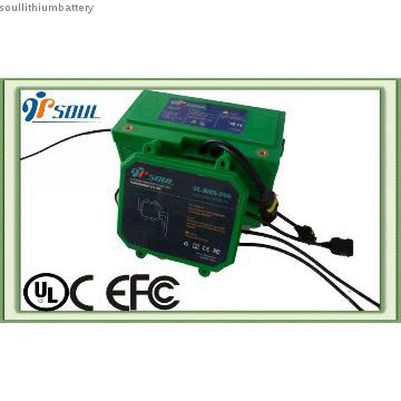 External Bms System Lithium Battery 200ah, High Quality External Bms ...