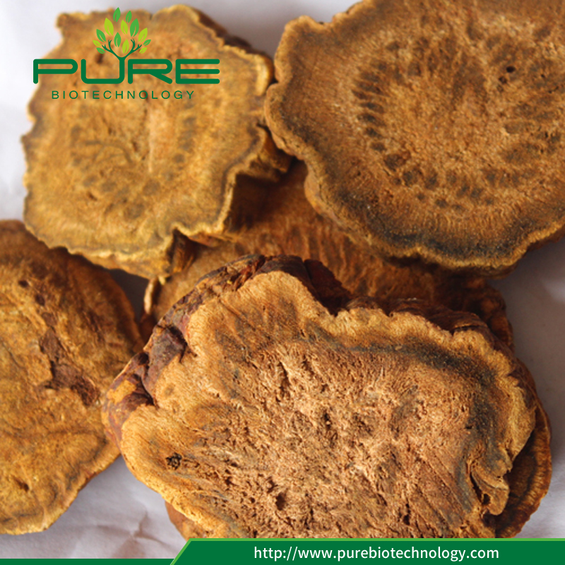 높은 품질의 말린 대황 뿌리 / Rheum Palmatum / 다 황, Bossgoo.com의 고품질 높은 품질의 말린 대황 ...