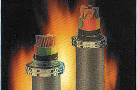 Xlpe Fiber & Mica Compound Fire Proof Cable Application To Chemical ...