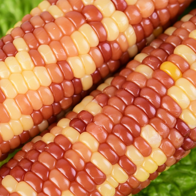 Juice Without Corn Syrup, High Quality Juice Without Corn Syrup on ...