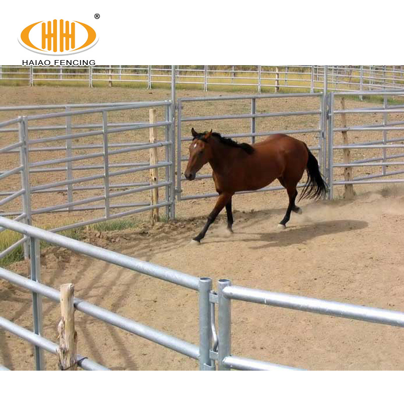 Temporary Steel Structure Corral Panel Horse Fence, High Quality ...