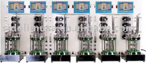 Lab Scale Multi-fermenter & Bioreactor 6x, High Quality Lab Scale Multi ...