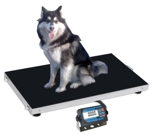 Medical Scale Veterinary Scales Animal Scales Pet Scales, High Quality ...