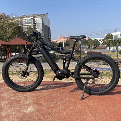 Bafang Mid Drive Electric Bicycle, High Quality Bafang Mid Drive ...