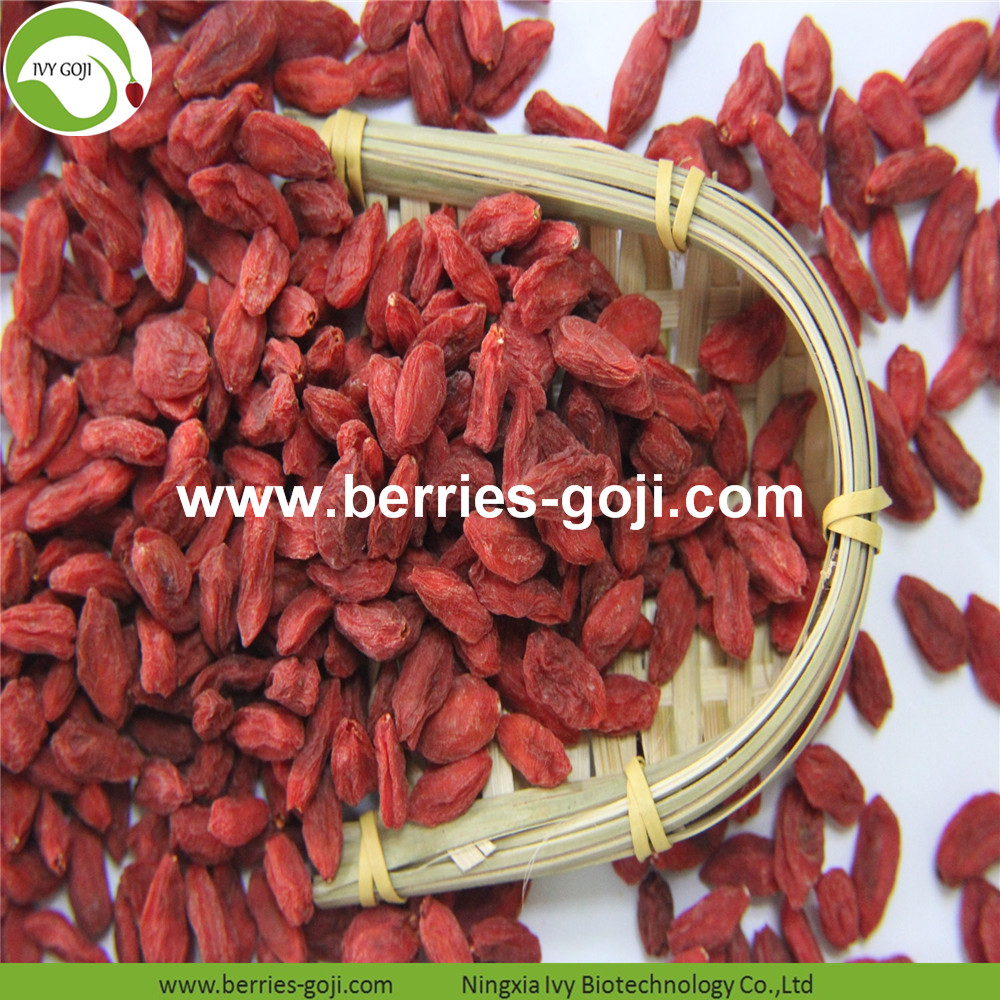 โรงงานซัพพลายผลไม้พรีเมี่ยม Authentic Goji Berry คุณภาพสูง โรงงานซัพพ ...