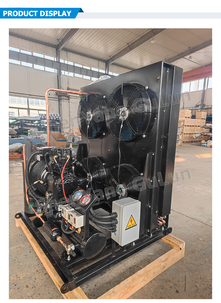 New Condition 3hp Air-cooled Condensing Units C33-al, High Quality New ...