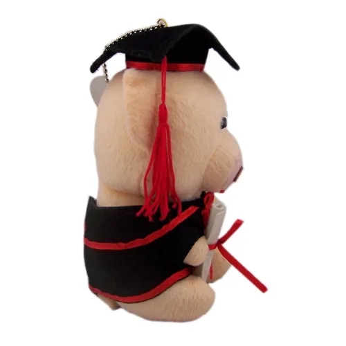 Graduation Plush Toy Pig With Doctorial Hat,graduation Stuffed Animal ...