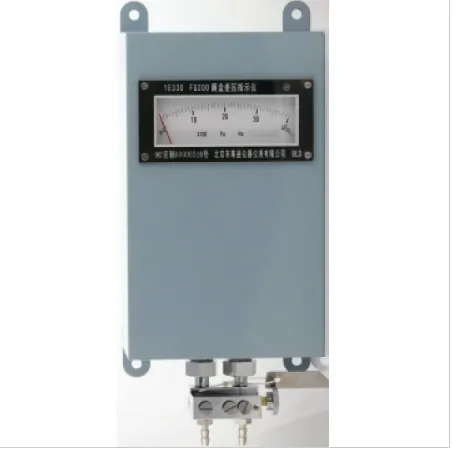 Rectangular Capsule Differential Pressure Gauge, High Quality ...