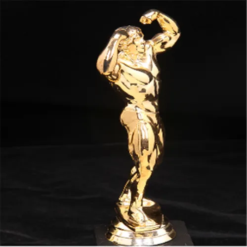 Bodybuilding Trophy And Award, High Quality Bodybuilding Trophy And ...